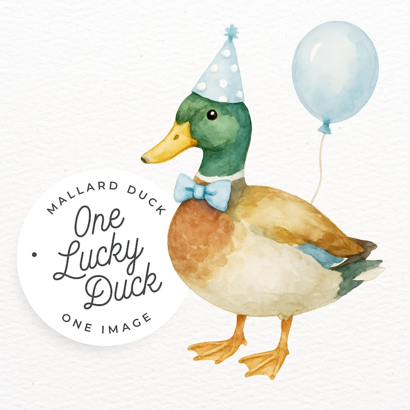 Baby Boy Blue One Hat - Etsy