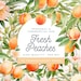 Watercolor Peach Clipart, Sweet Little Peach Baby Shower, Peaches ...