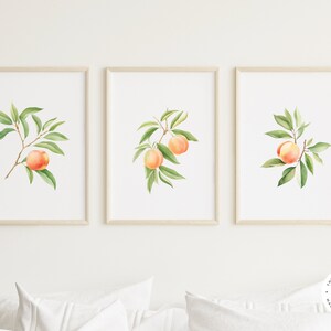 Watercolor Peach Clipart, Sweet Little Peach Baby Shower, Peaches ...