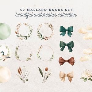 Watercolor Mallard Duck Clipart, PNG Digital Illustration Bundle, for ...