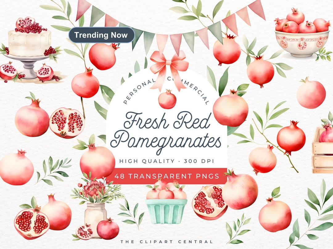 Pomegranate Clipart, Watercolor Red Pomegranates PNG, Pomegranate SVG ...