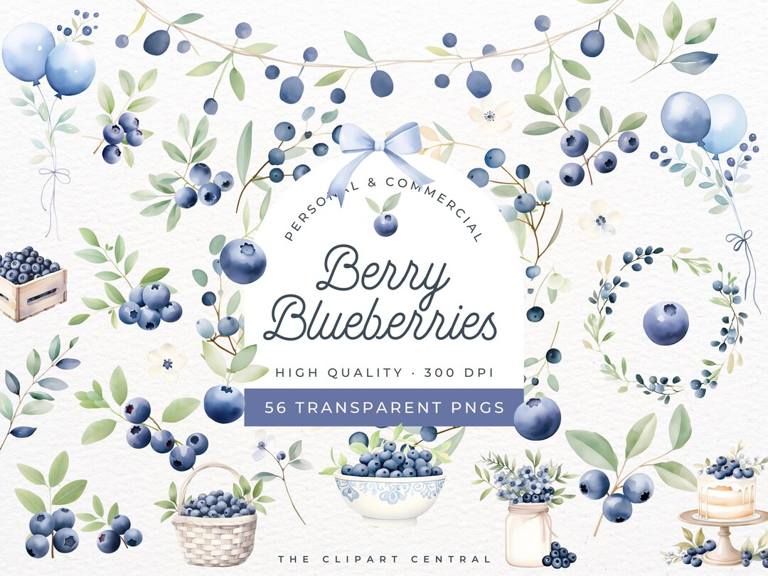 Watercolor Blueberry Clipart, Blueberries PNG, Blueberry Baby Shower ...