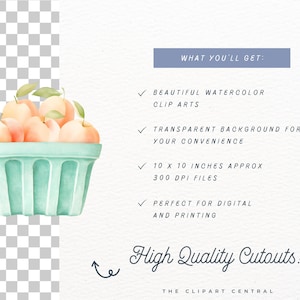 Peach Watercolor Clipart, One Sweet Peach First Digital Birthday ...