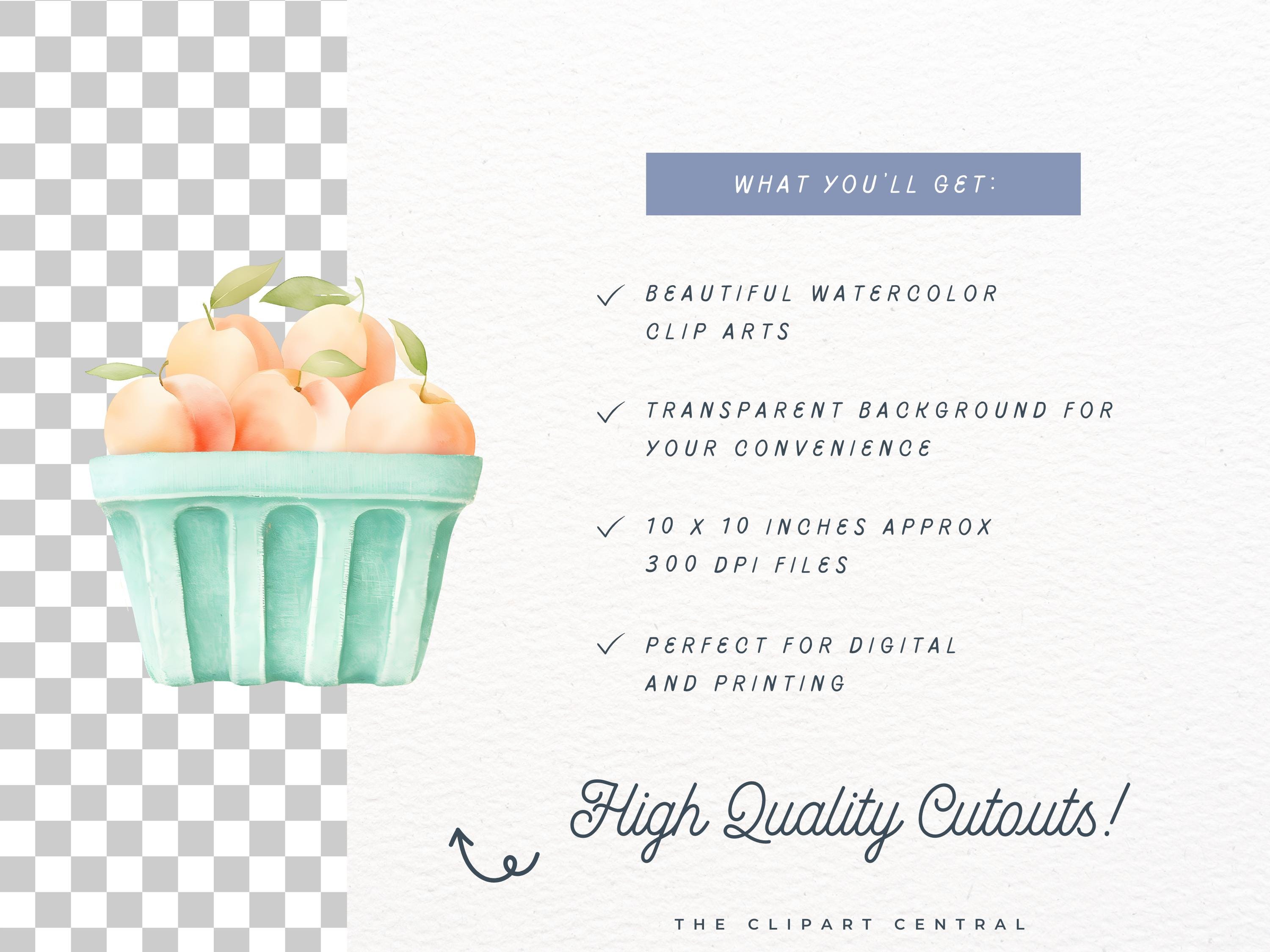 Peach Watercolor Clipart, One Sweet Peach First Digital Birthday ...