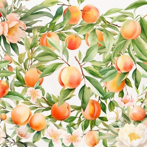 Watercolor Peach Clipart, Sweet Little Peach Baby Shower, Peaches ...