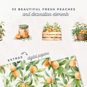 Watercolor Peach Clipart, Sweet Little Peach Baby Shower, Peaches ...