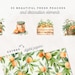 Watercolor Peach Clipart, Sweet Little Peach Baby Shower, Peaches ...