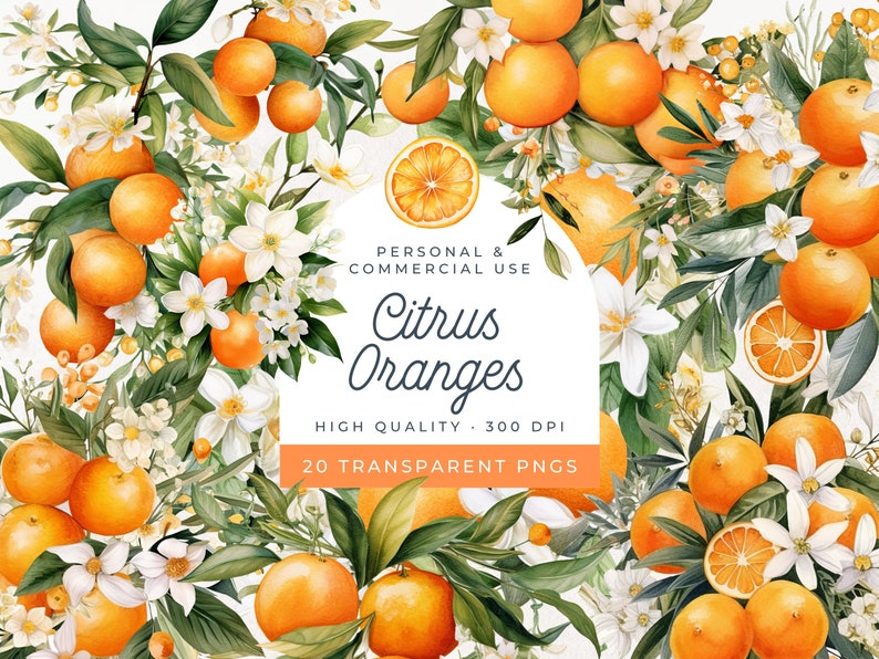 Watercolor Citrus Oranges Clipart, Little Cutie Baby Shower, Orange ...