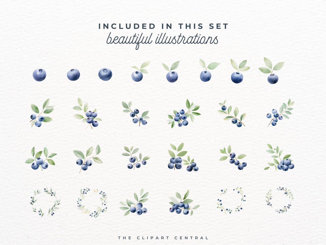 Watercolor Blueberry Clipart, Blueberries PNG, Blueberry Baby Shower ...