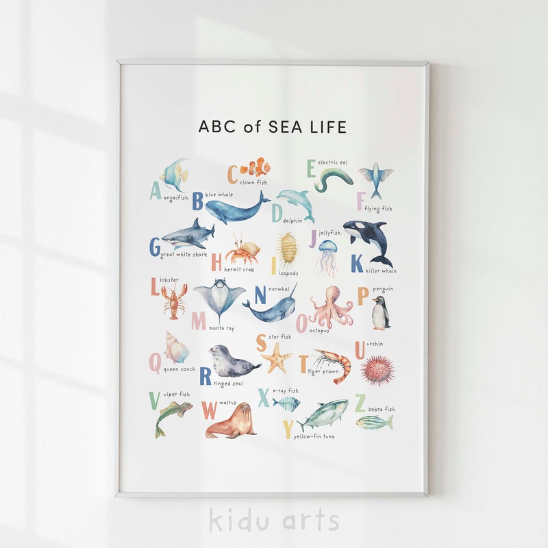 Sea Life Wall Decor - Etsy