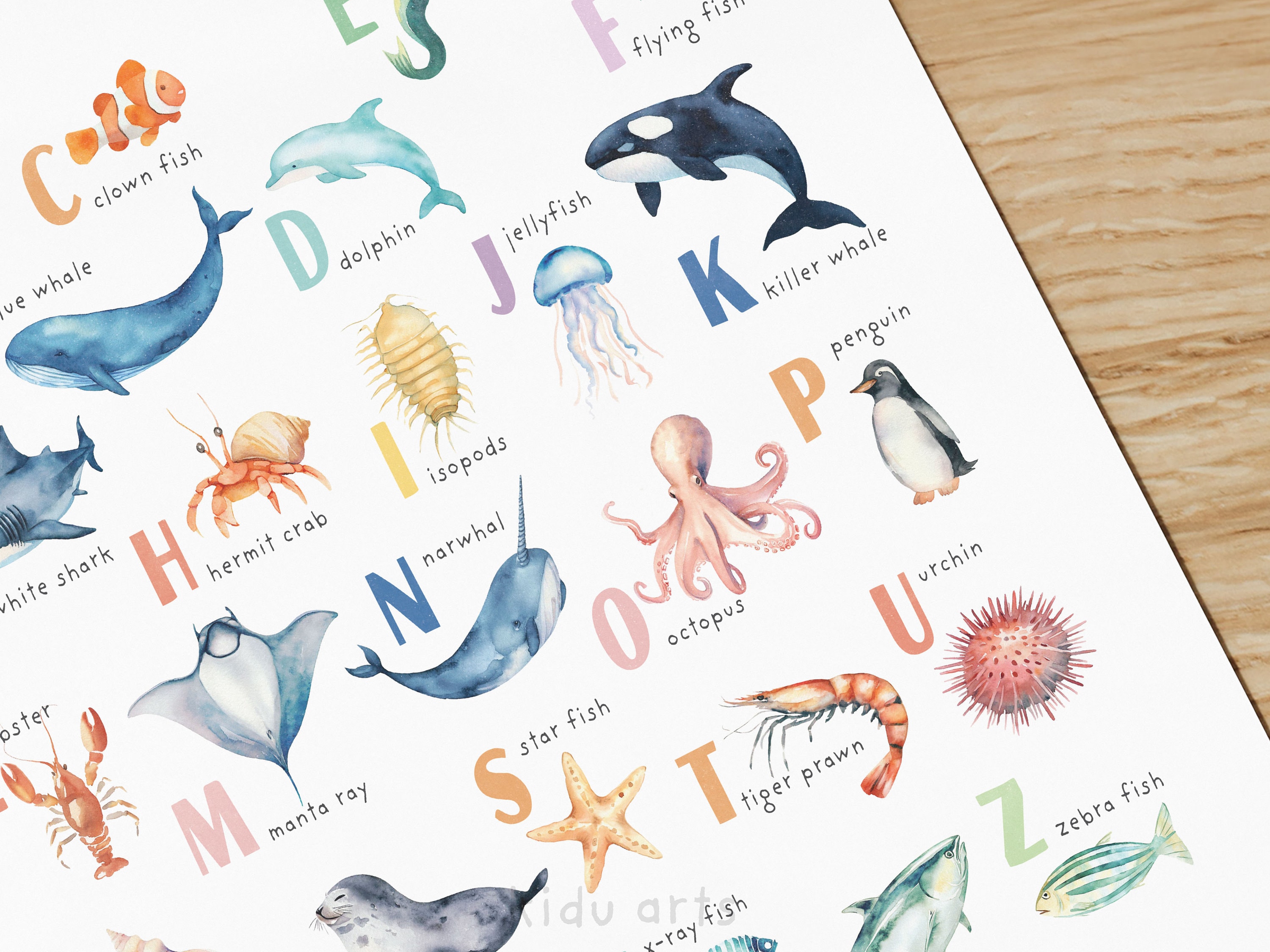 Ocean Animals Alphabet Poster, Kids Wall Art, Sea Life ABC Print ...