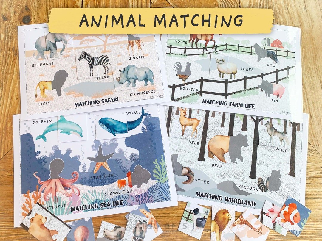 Animal Matching Game, Kids Activity Worksheet, Farm Safari Sea Life ...