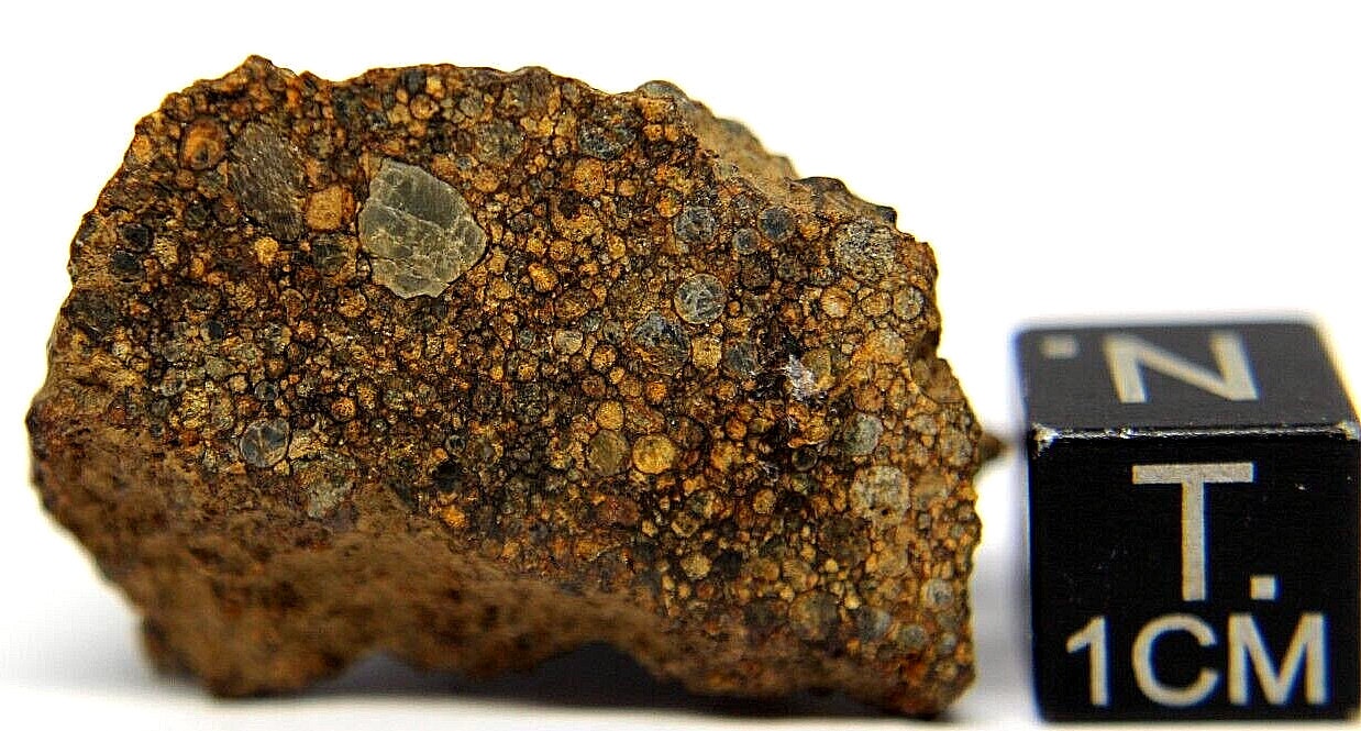 Meteorite NWA 15243 LL3 Chondrite, Rare Type 3 Meteorite, From Outer ...