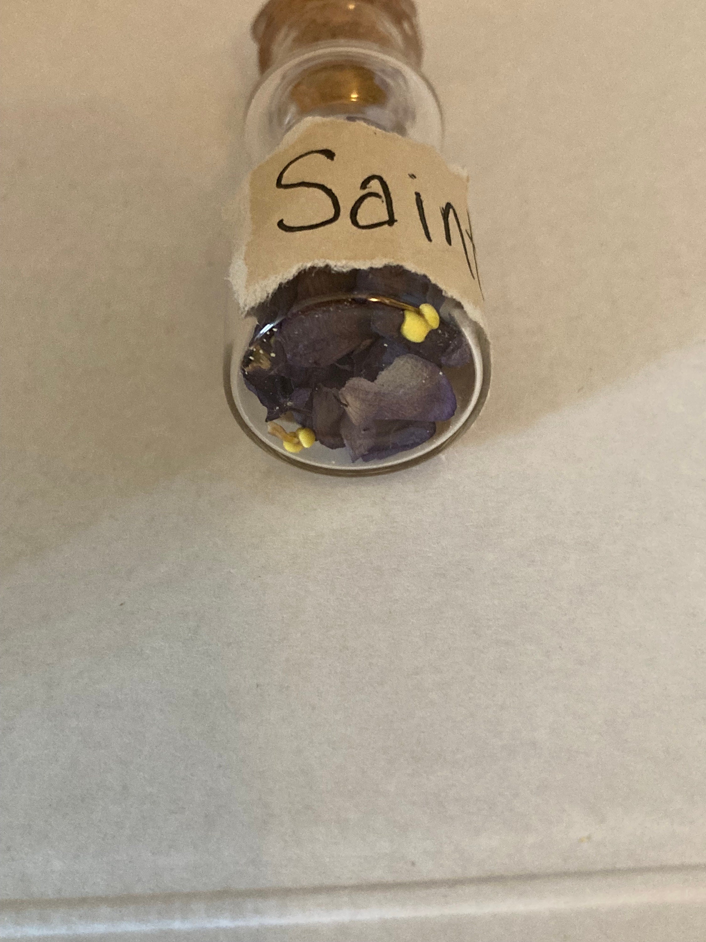 Mini African Violets Potion Bottle - Etsy