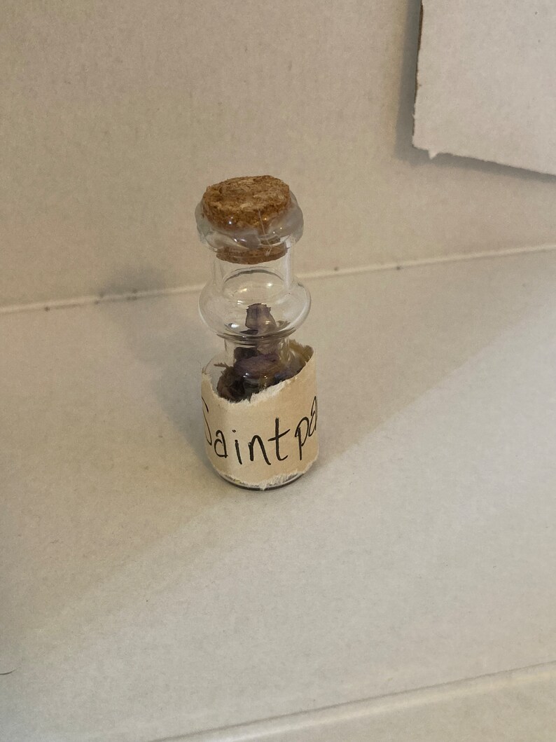 Mini African Violets Potion Bottle - Etsy