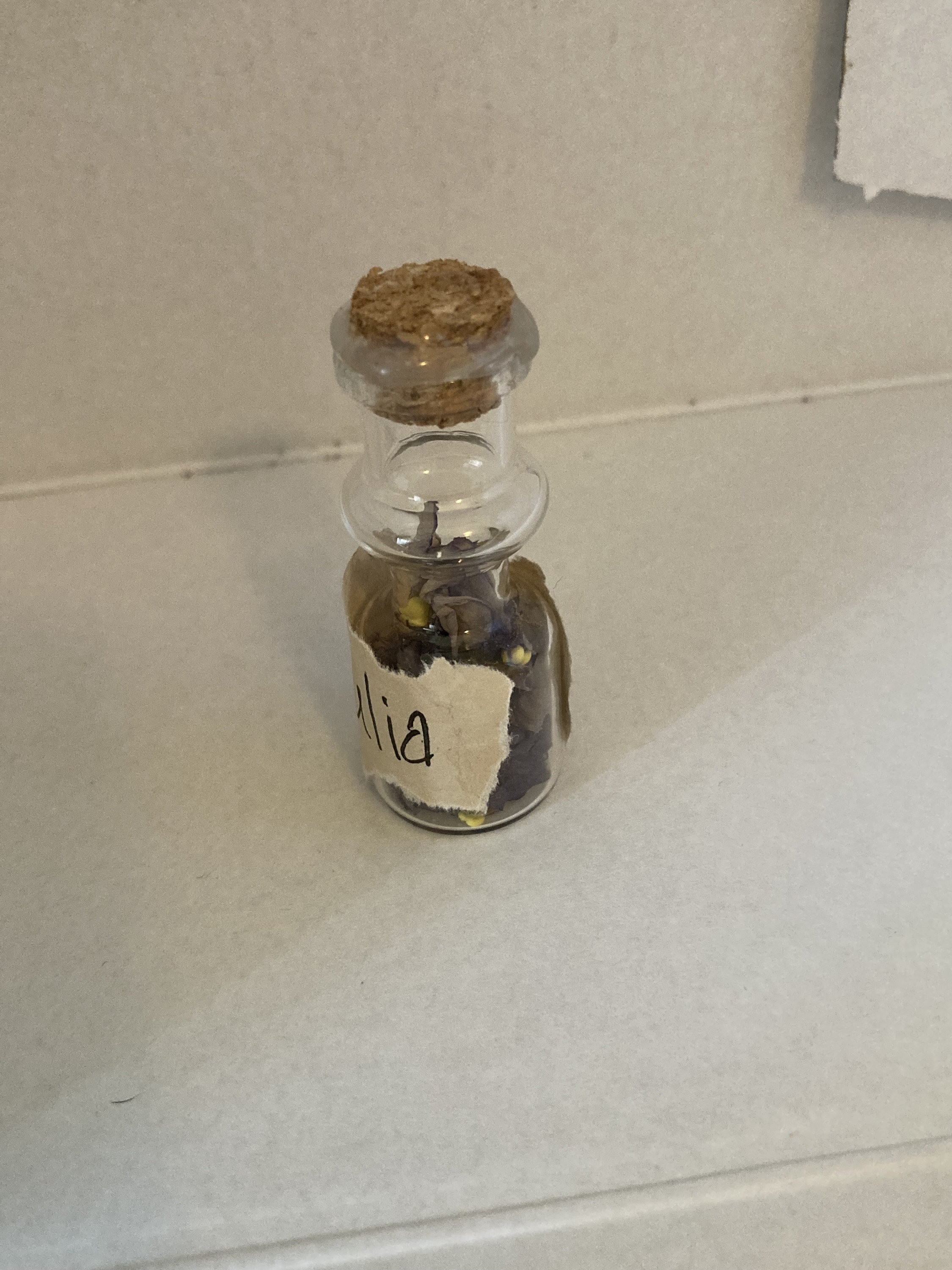 Mini African Violets Potion Bottle - Etsy