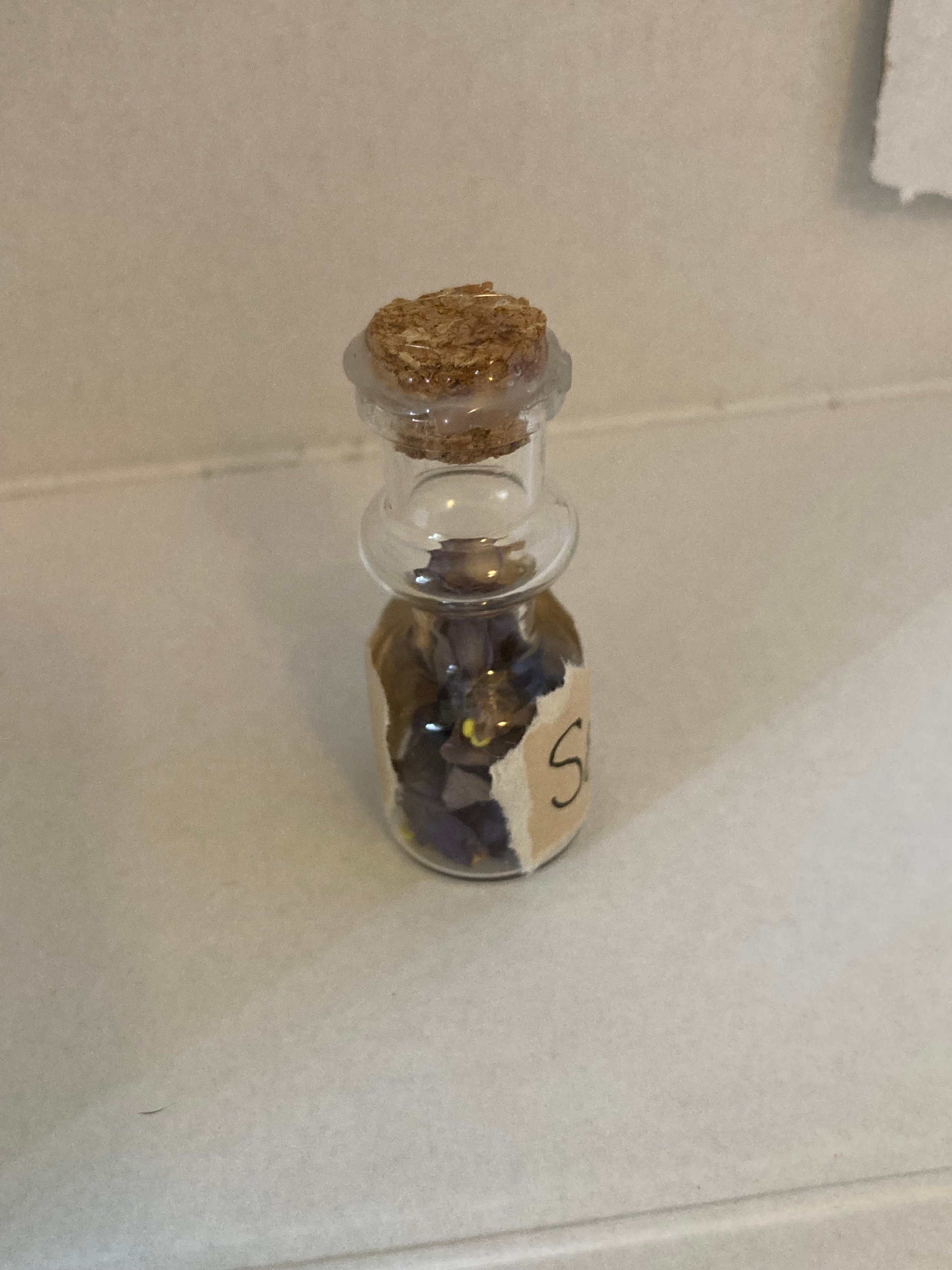 Mini African Violets Potion Bottle - Etsy