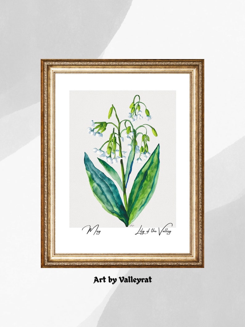 May Birth Flower Lily of the Valley Watercolor Art Print (digital ...