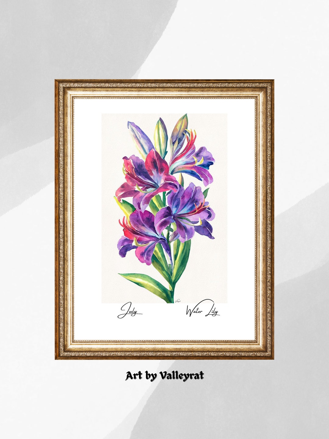 July Birth Flower Water Lily Watercolor Art Print (digital Download) - Etsy