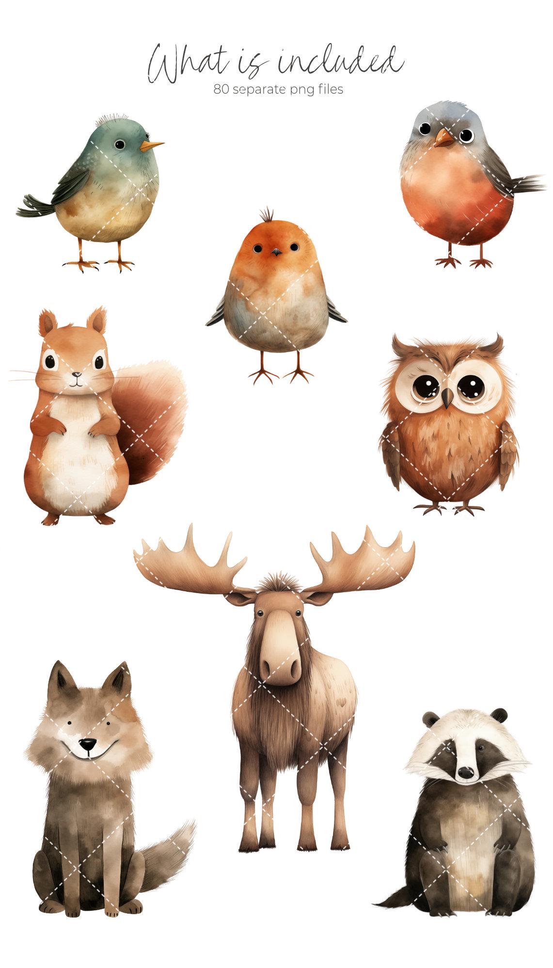 Watercolor Woodland Animals Clipart Bundle: Forest Nursery PNG (digital ...