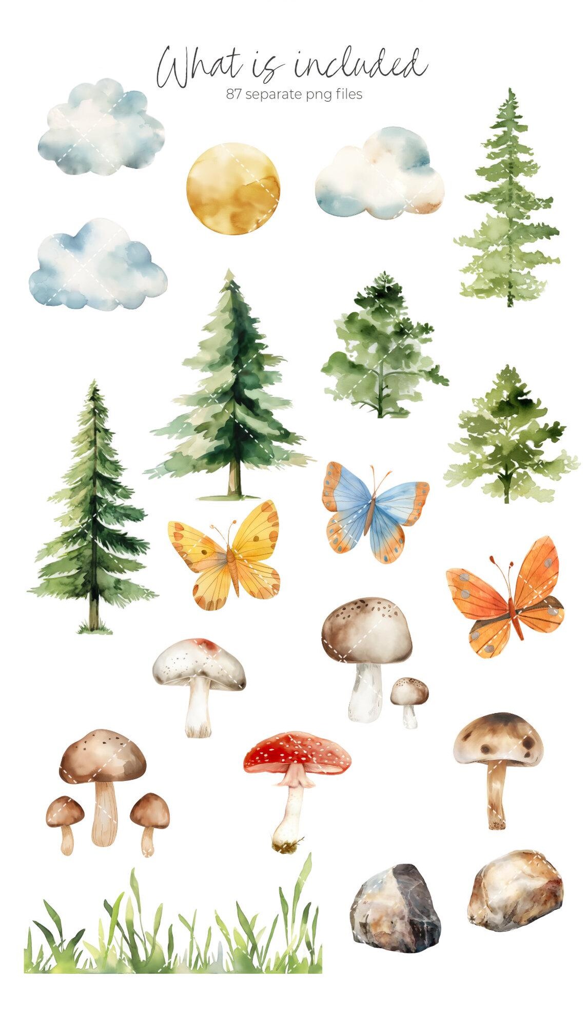 Woodland Christmas Clipart: Watercolor Forest Animals (PNG Digital ...