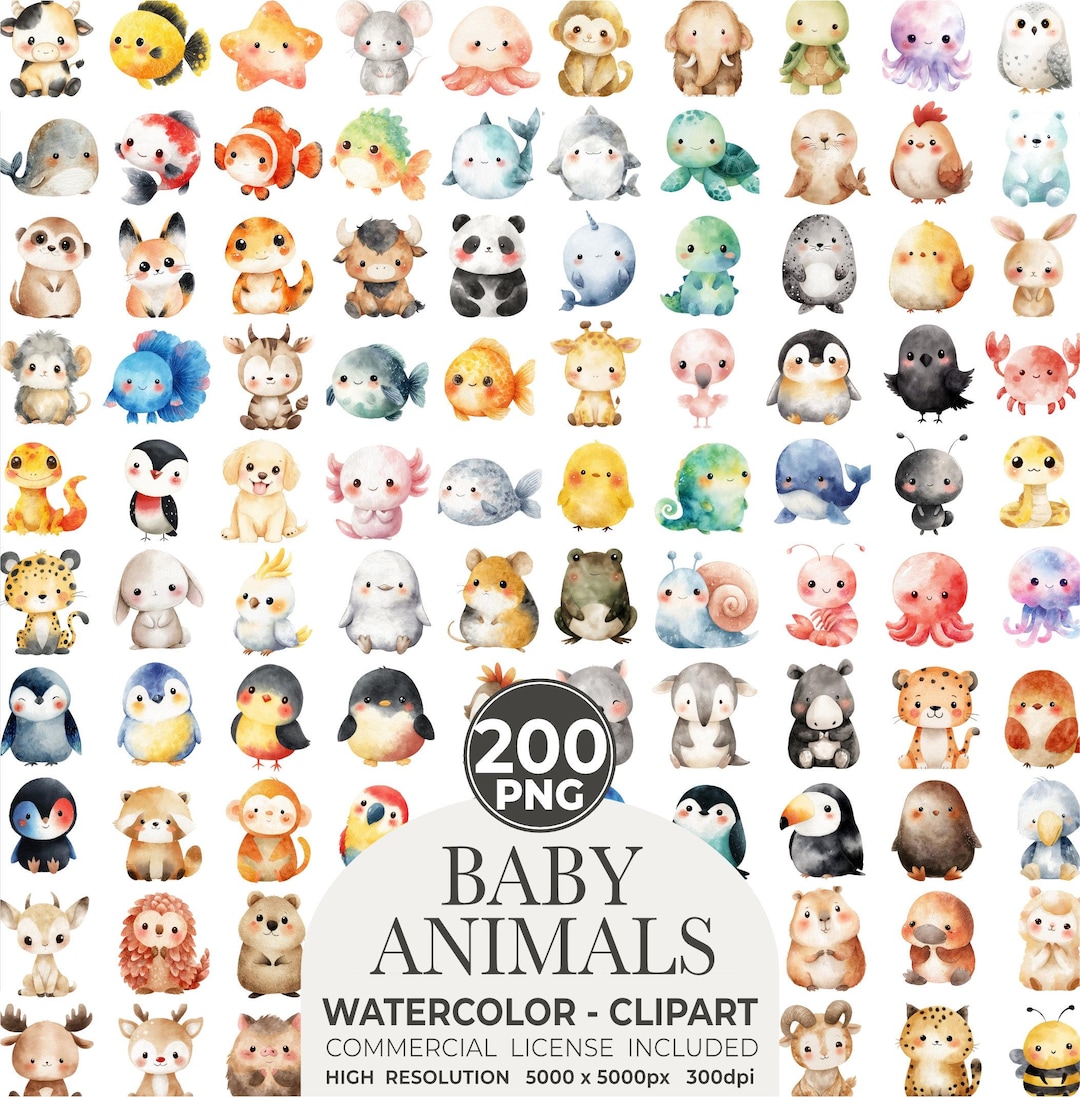 Watercolor Cute Animals Clipart 200 Cute Animal PNG Watercolor Animals ...