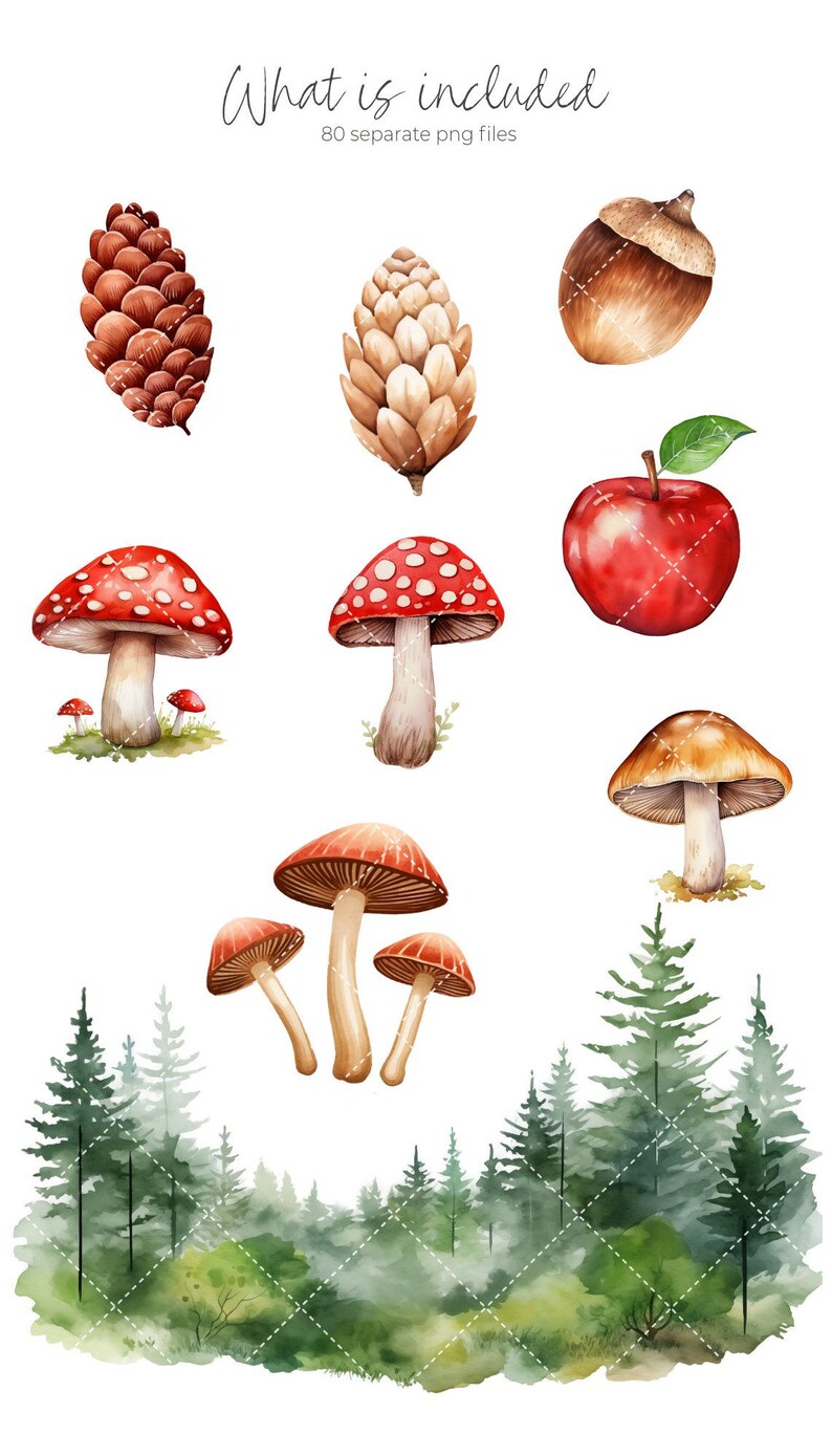 Watercolor Woodland Animals Clipart Bundle: Forest Nursery PNG (digital ...