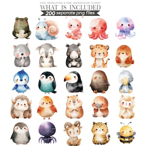 Watercolor Cute Animals Clipart 200 Cute Animal PNG Watercolor Animals ...