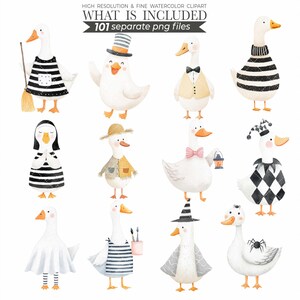 Watercolor Halloween Goose Clipart Set, Cute Spooky Geese PNG ...