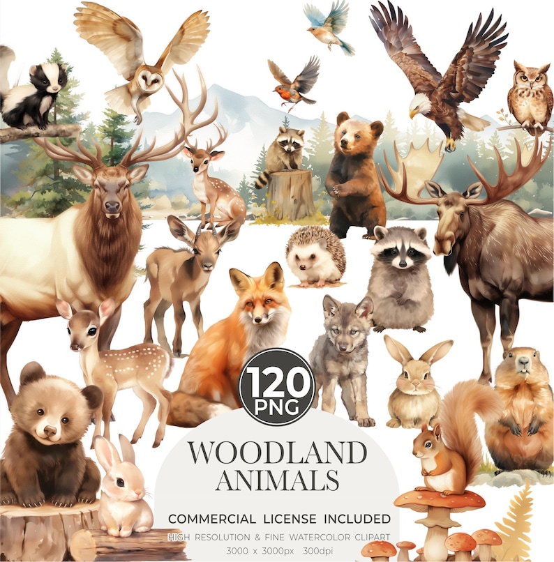 Watercolor Woodland Animals Clipart: Forest Nursery PNG (digital ...