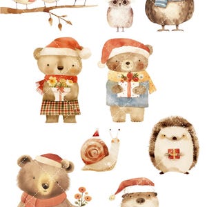 Woodland Christmas Clipart: Watercolor Forest Animals (PNG Digital ...
