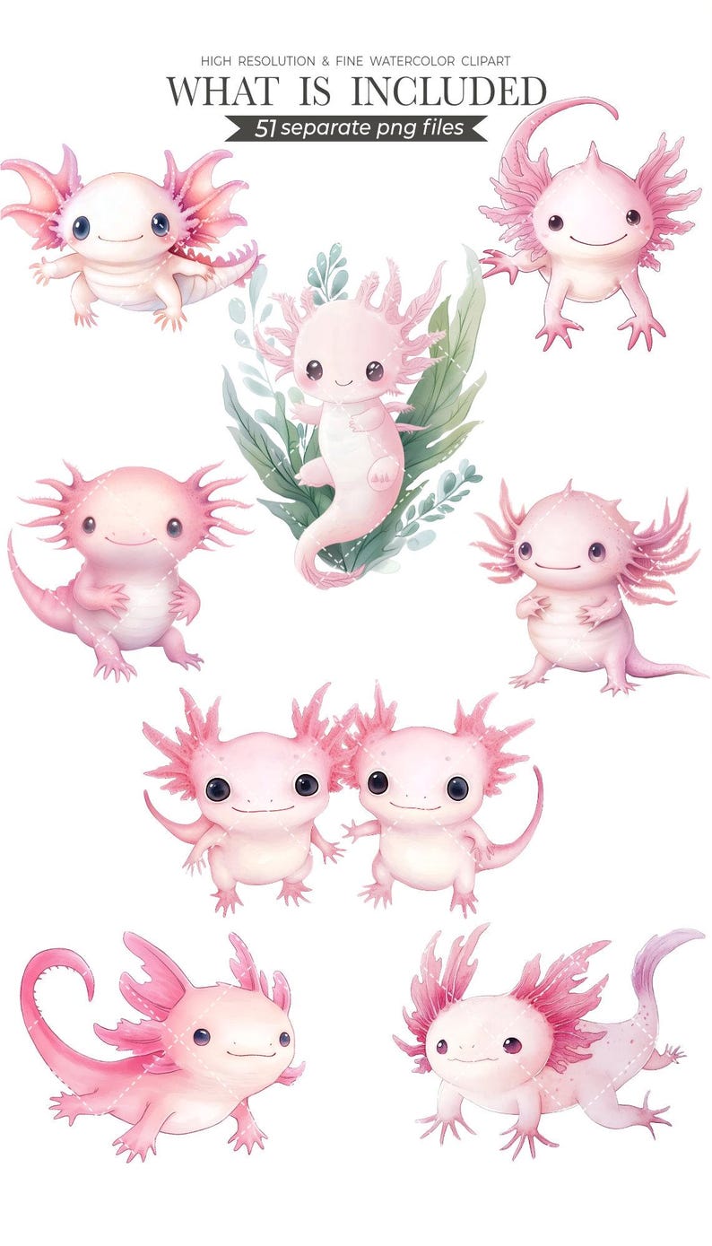 Watercolor Axolotl Clipart: Sea Animal Graphics (PNG) - Etsy