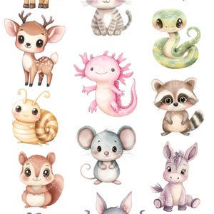 Watercolor Cute Animals Clipart, 56 Cute Animal PNG, Watercolor Animals ...