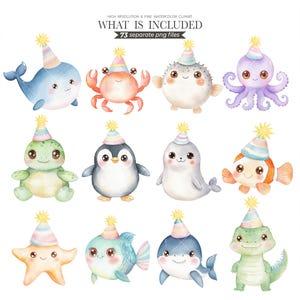 Ocean Birthday Clipart: Watercolor Sea Animals PNG (commercial Use) - Etsy