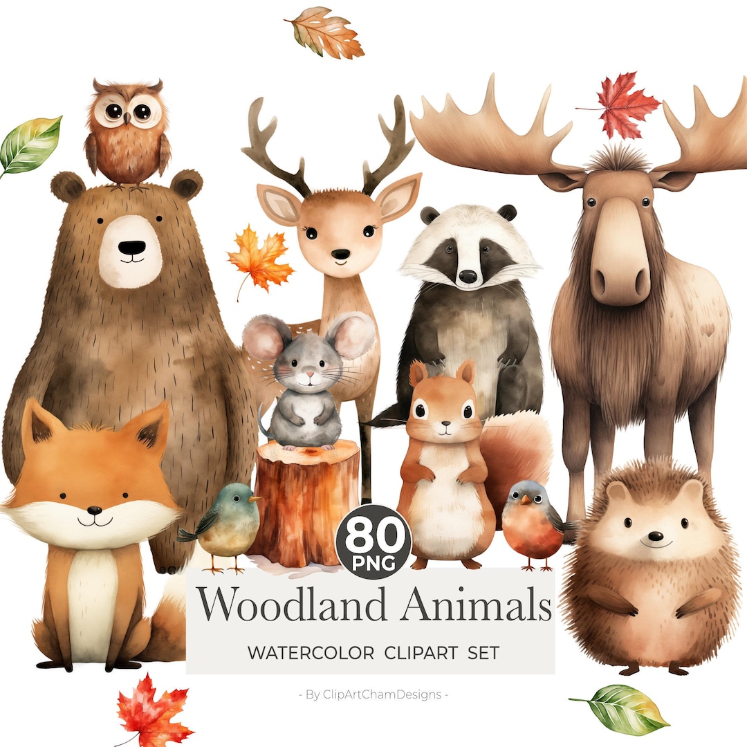 Watercolor Woodland Animals Clipart Bundle: Forest Nursery PNG (digital ...