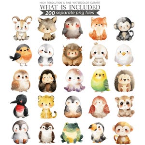 Watercolor Cute Animals Clipart 200 Cute Animal PNG Watercolor Animals ...