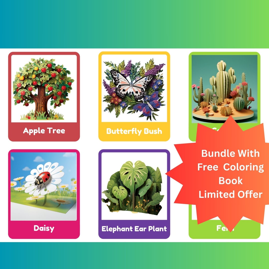 Educational Cards Leaf Identification Fall Leaves Plant Identification ...
