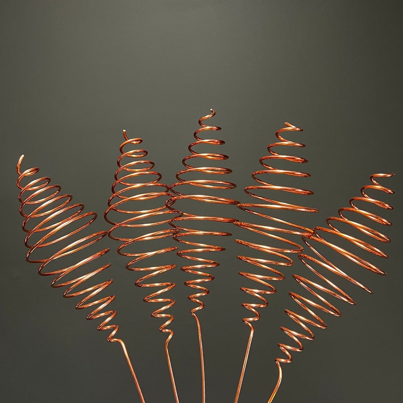 Lakhovsky Coil - Etsy