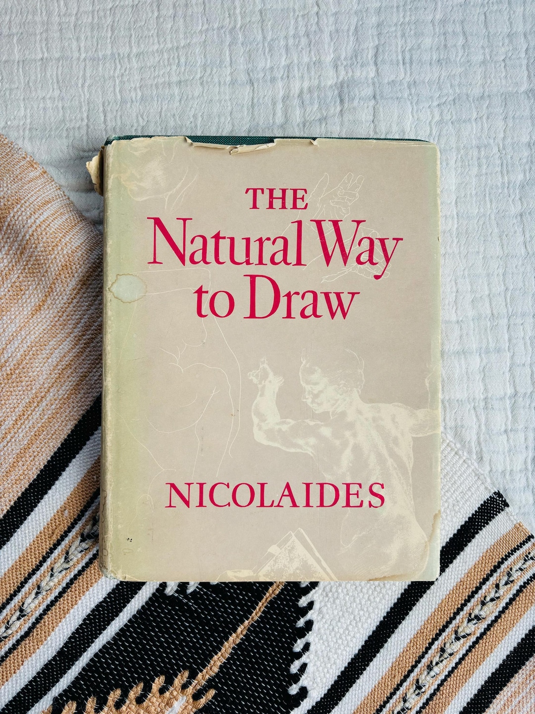 The Natural Way to Draw A Working Plan for Art Study by Kimon ...