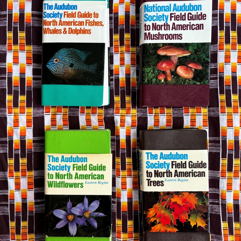 Vintage Audubon - Etsy