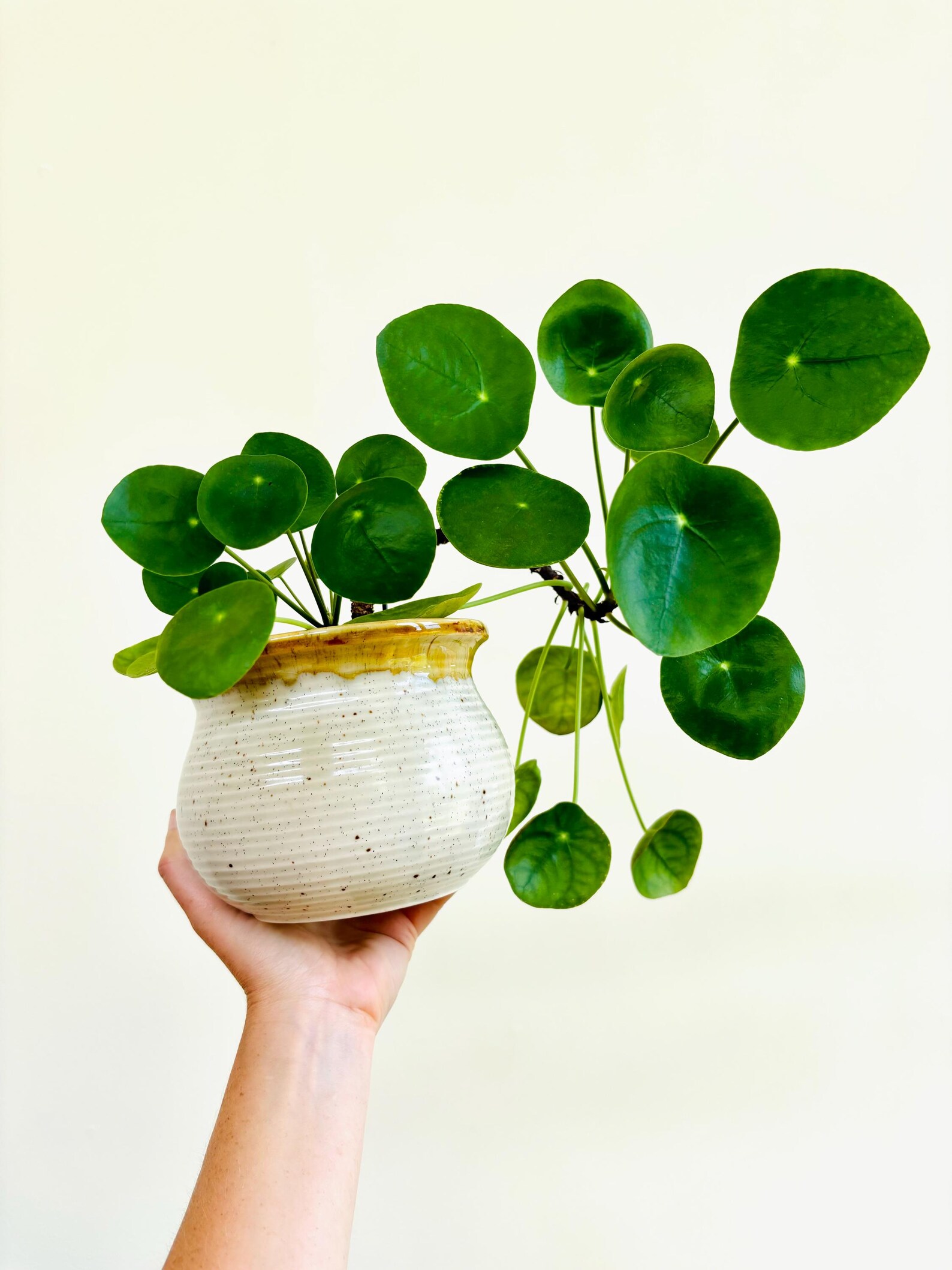 Vintage Speckled Round Bellied Planter, Mcm Ceramic Indoor Planter - Etsy