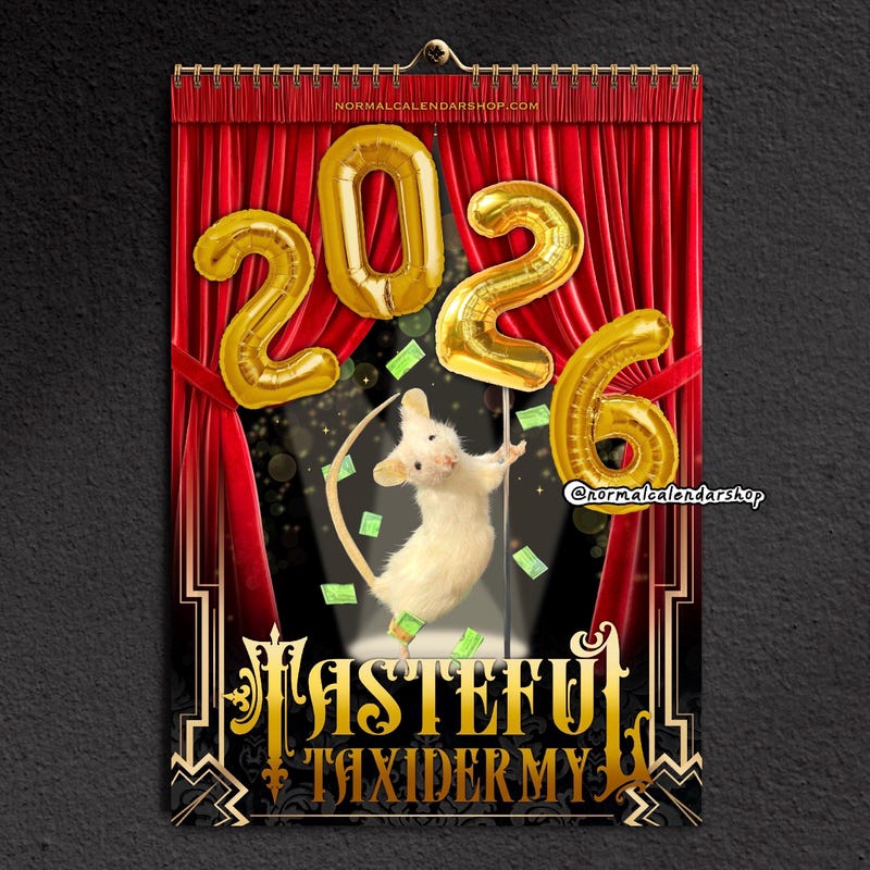 Weird Taxadermy - Etsy UK