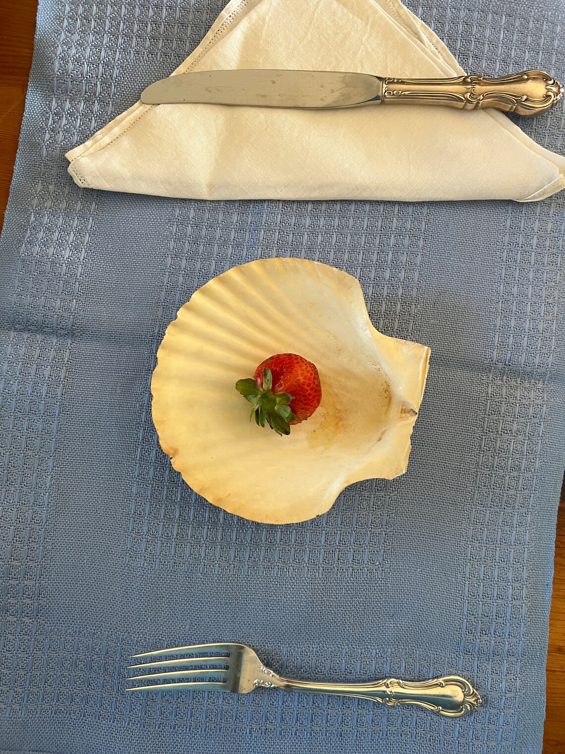 Vintage Scallop Shells - Etsy