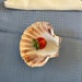 Vintage Scallop Shells - Etsy