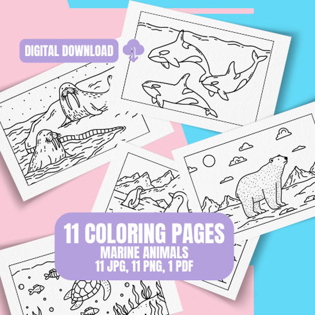 11 Coloring Pages for Kids and Adults A4, Marine Animals, Arctic ...