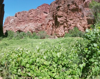 Print / Digital Print / Screensaver / Landscape / Arizona / Waterfall ...