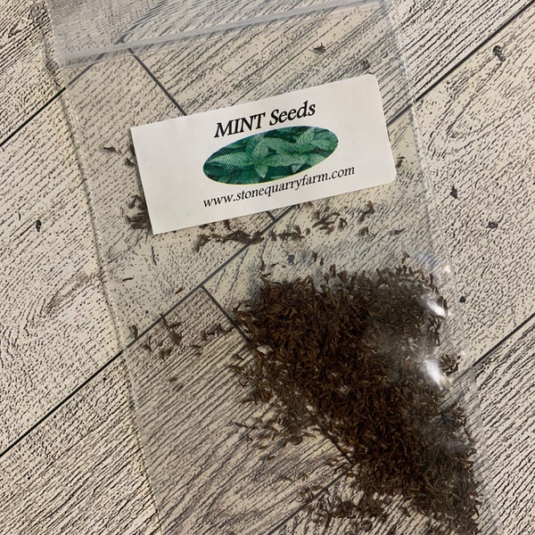 Mint Seeds - Etsy