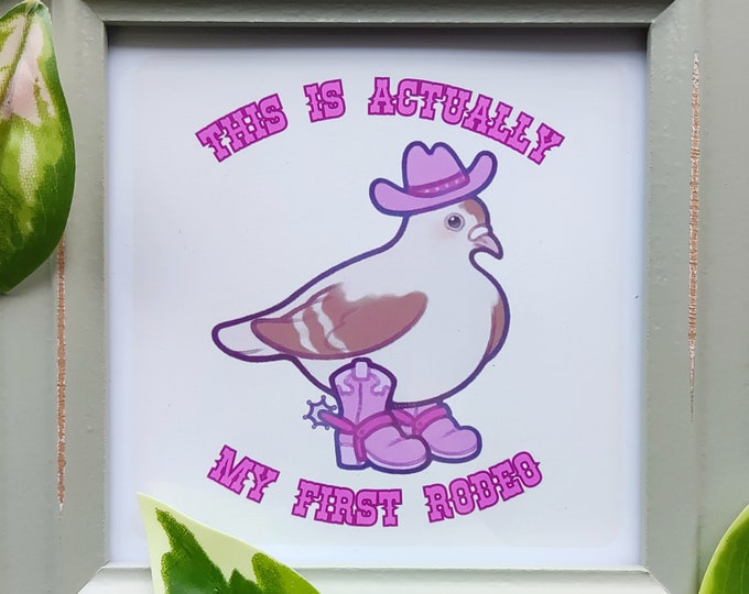 Cowboy Pigeon Print | 5"x5" Matte Print | My First Rodeo | Small ...