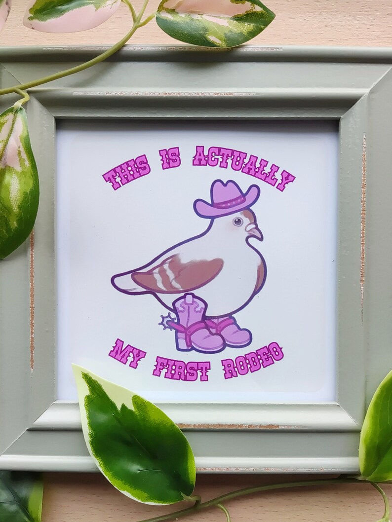 Cowboy Pigeon Print 5x5 Matte Print My First Rodeo Small Decorative ...