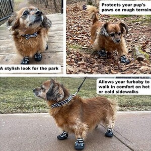 Hipster Pup Dog Boots, Paw Protection With BONUS Matching Collar Set ...